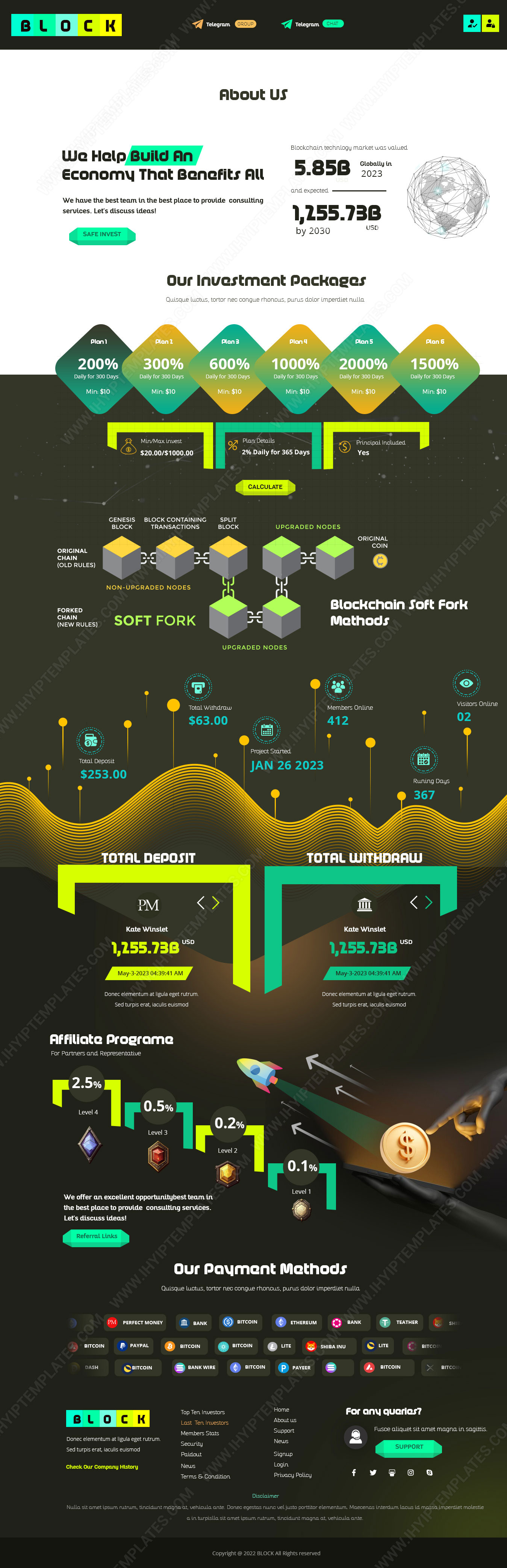 HYIP Website Themes -T260